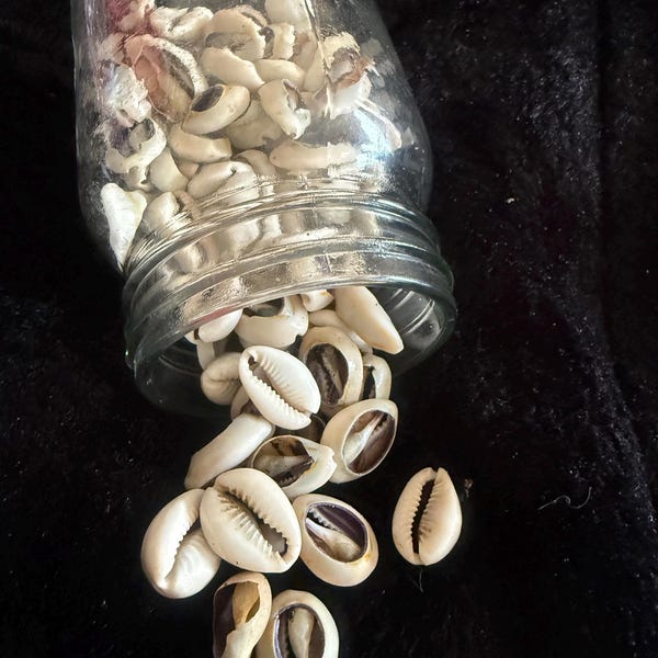 Blessed African Cowrie Altar Bell || Ancestor Veneration - Misa ...