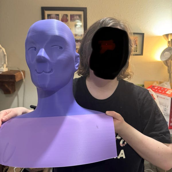 3D Mannequin STL File for Self-printing Bust/torso for Fursuit Making ...