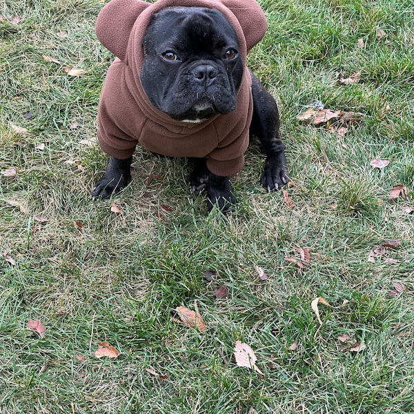 Frenchiestore Organic Dog Frenchie Ear Hoodie | Teddy Bear - Etsy