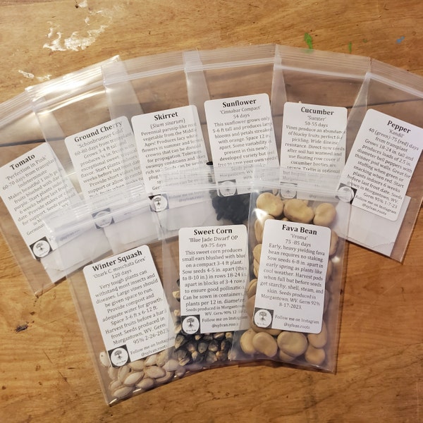 Fat Man Pole Bean (30 Seeds) - Etsy