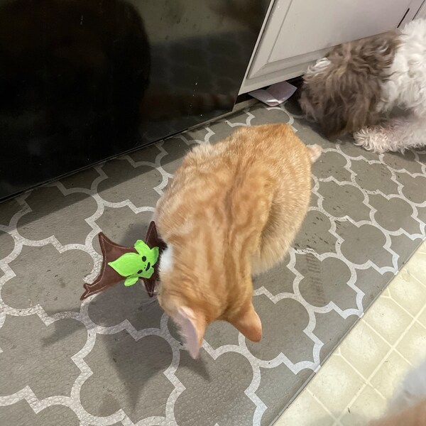 Severed Hand Catnip Toy, Funny Gift, Spooky Horror Cat Toy, Nerdy Felt ...