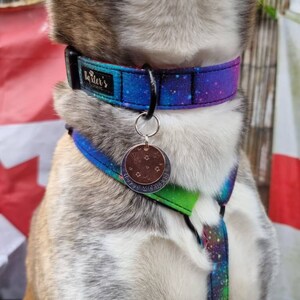 Dog Tag Bunny Chaser Dog Tag Funny Pet Tag Dog ID Tag | Etsy