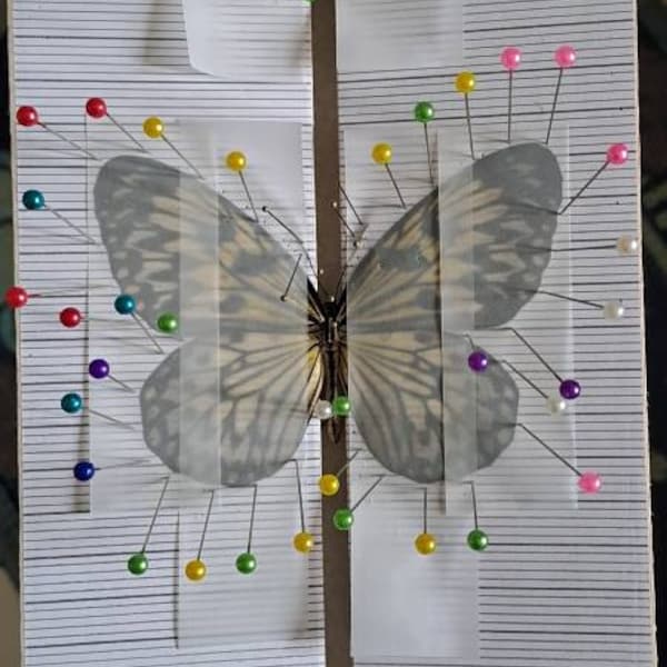 Adjustable Butterfly Pinning Board: Angled Balsa Wood Spreading Board ...