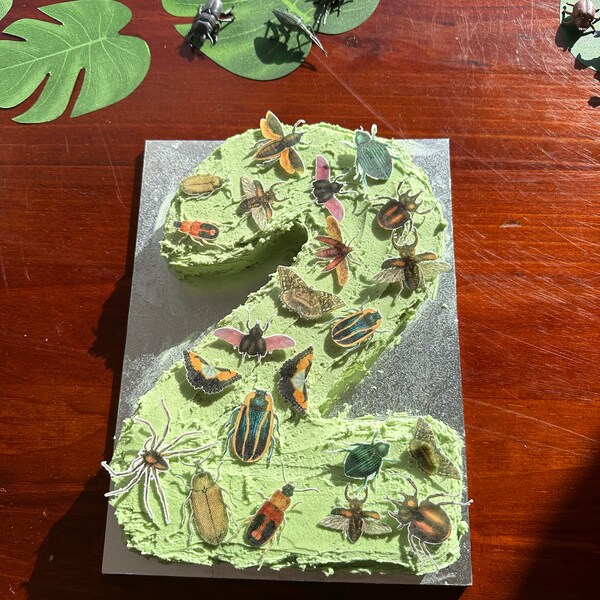 Pack of 20 Wafer Paper Die Cut Creepy Bugs / Insects - Etsy