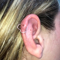 Fake Heart Helix Ring-fake Piercing-gold, Silver, Rose Gold. - Etsy