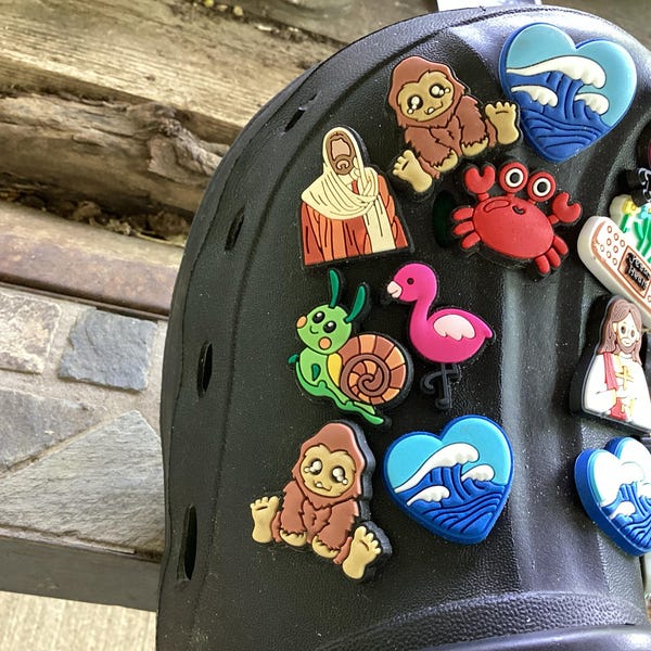 Capybara Clog Accessory - Capybara Shoe Charm - Carpincho Clog Clips ...