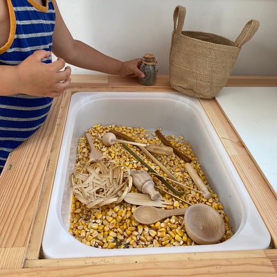Honeycomb Bumblebee Counting Sensory Bin, Preschool Math, Montessori ...