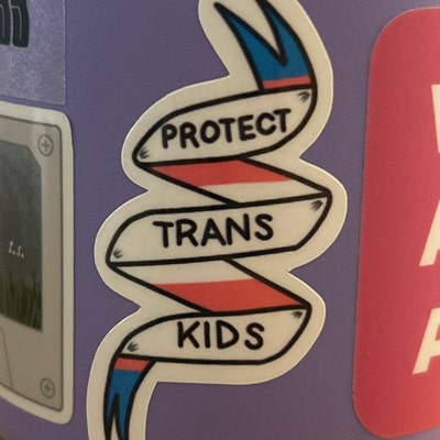 Protect Trans Kids Die Cut Vinyl Sticker, 100% of Profits Donated ...