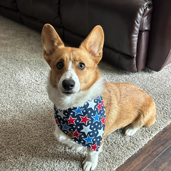 Dog Bandana Hot Dog Bandana Barbecue Dog Grill Master Gift Memorial Day ...