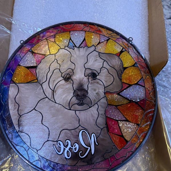 Coin Holder Travel Personalized, Coin Collection Display Foreign ...