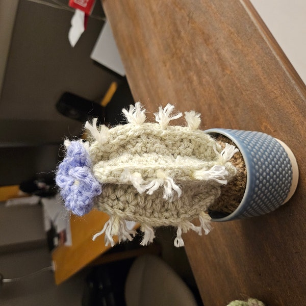 Fence Post Cactus, Crochet Pattern - Etsy