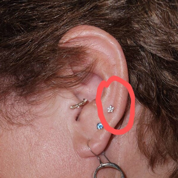 18k Gold Sterling Silver Diamond Cartilage Stud • Flat Back Tragus ...