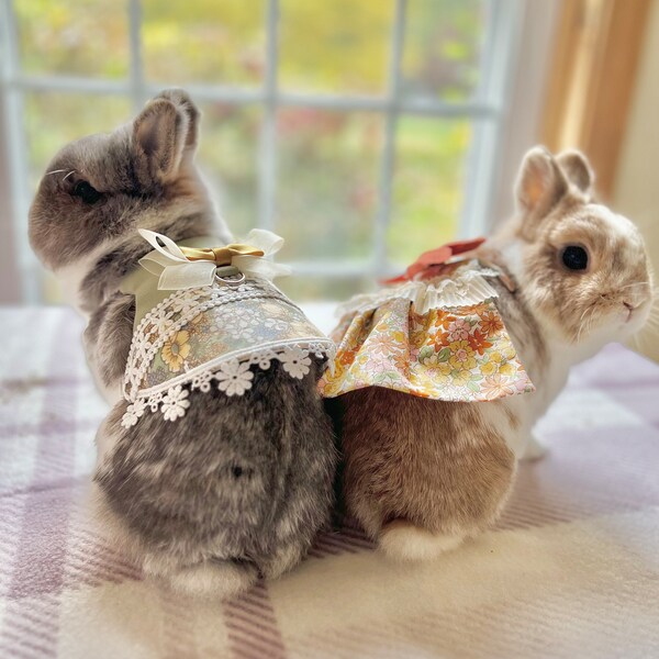 Autumn Ginkgo Wool Short Dress, Pet Bunny Dress/harness, Rabbit ...