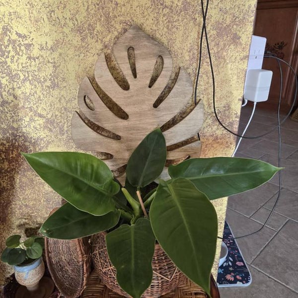 Handcrafted Monstera Leaf Stand - Tropical Home Decor, Indoor Plant ...