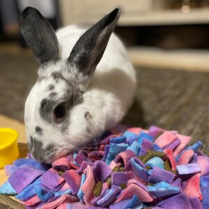 Bunny Rabbit Snuffle Mat Foraging Blanket Stimulation Treat - Etsy