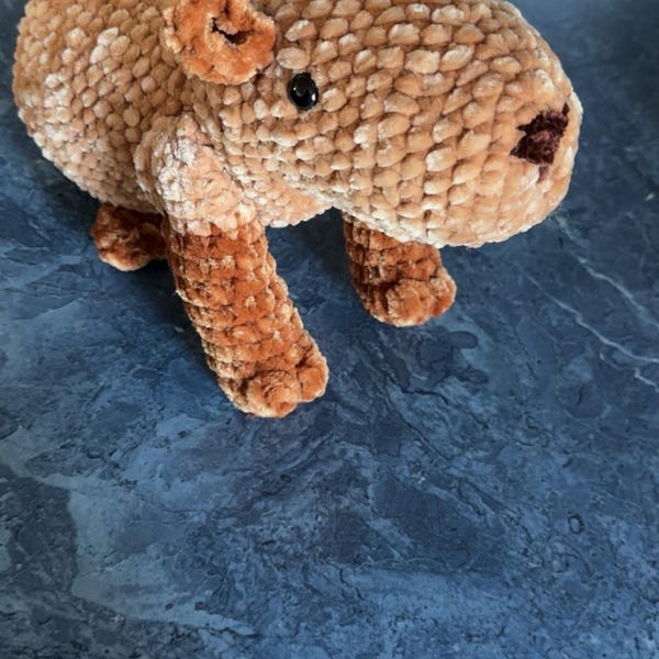 No Sew Capybara Crochet Pattern, Capybara Amigurumi Pattern, Easy ...