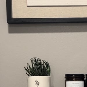 Personalized DNP Graduation Gift 3 White Ceramic Pot W/ Live Plant DNP Gift Doctor of Nursing ...