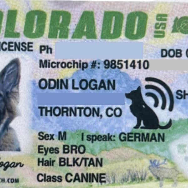 Texas Driver Dog Id Tag Personalized License, Durable Dog Tag, Double ...