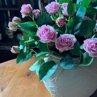 Loquat Fruit Stem With Foliage Artificial, Faux Berry Branch, Quality ...