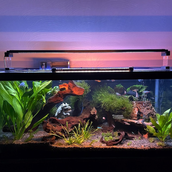 Finnex Stingray Original LED Light Riser, Attractive Stable Elevated ...