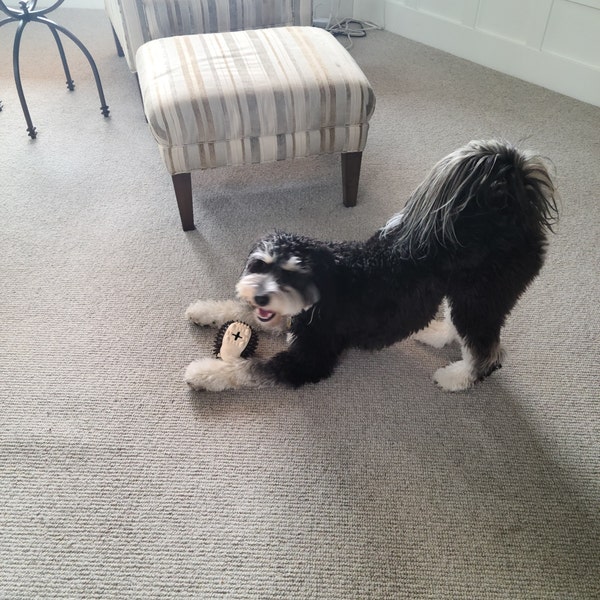 Interactive Dog Toy for Strong Chewers, Freddy Hedgehog All-in-one ...