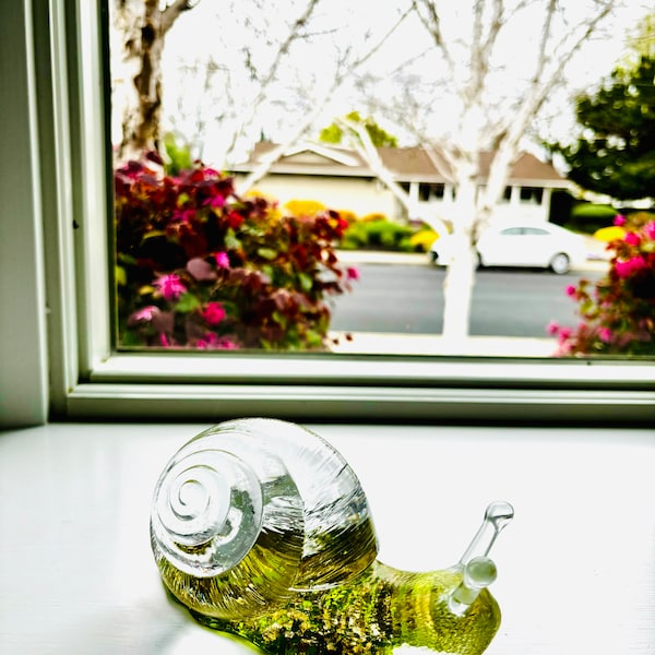 Medium Coral Structure - Etsy