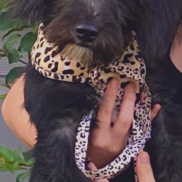 Wild Thing Dog Harness & Accessories - Etsy Australia