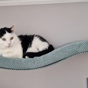 Wall Step Wall Steps Cat Step Cat Steps Cat Wall Stair Cat Wall Stairs ...
