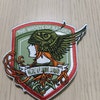 Ace Combat 5: the Unsung War Inspired, Razgriz Squadron, Morale Patch ...