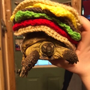 Custom Tortoise Diaper | Etsy