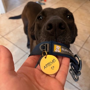 Simple Custom Hand Stamped Dog Tag Dog Tags for Dogs Pet Id | Etsy