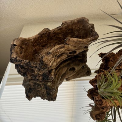 Concrete Tree Troll Planter, Concrete Tree Troll Pot, Faux Tree Troll ...