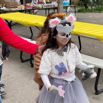 Lemur Felt Mask Lemur Mask Lemur Costume Madagascar Animal - Etsy