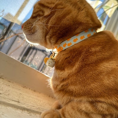 Gold Fish Cat Collar With Bell and Charm, Blue Breakaway Cat Collar ...