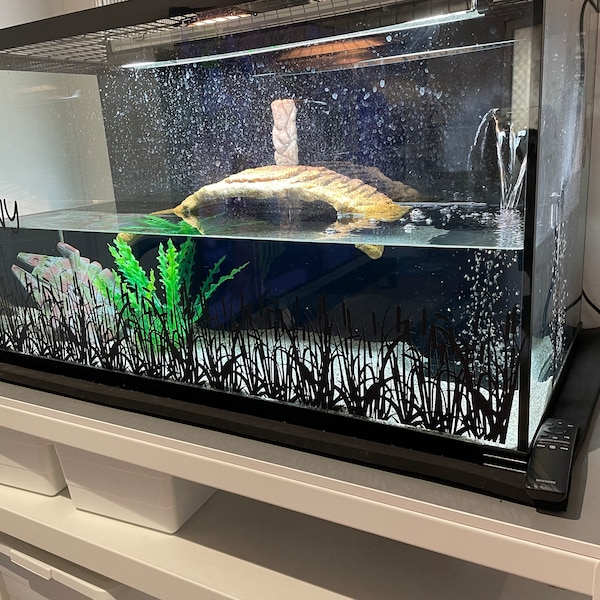 Reeds Svg, Bulrush Svg. Vector Cut File for Cricut, Silhouette, Pdf Png ...