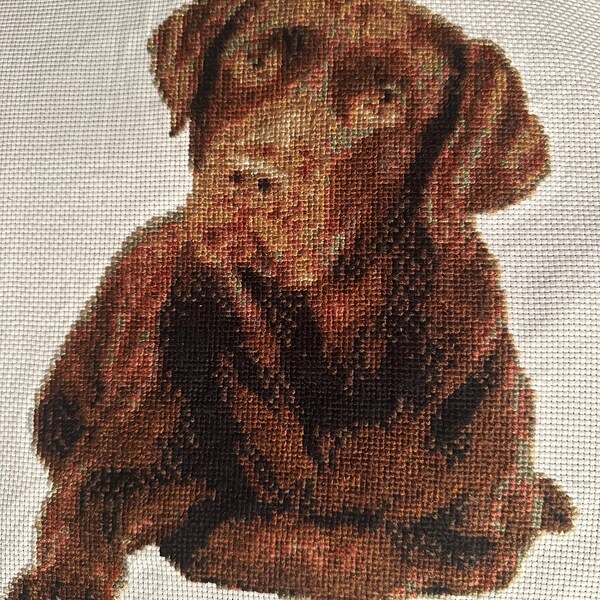 CROSS STITCH KIT- Greyhound 23cm X25cm 14 Count - Etsy