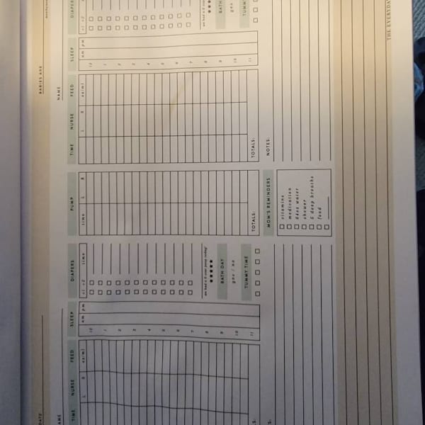 Printable Baby Milestone Chart Tracker | DIY Baby Tracking Log Book ...