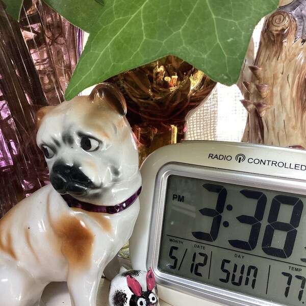 Otoe Indian Woman, Historical, Antique Photo, Circa 1907, Recognized ...