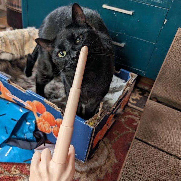 Collapsing Middle Finger | Gag Gift | Desk Toy | Fun Fidget Toy ...