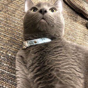 Winter Cat Collar snowflakes Frosty Blue Light Blue Snowflake Cat ...