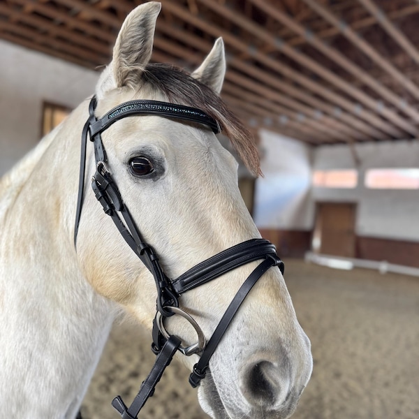 Rainbow Bridle - Dressage Bridle - Fancy Bridal - Bling Headstall ...