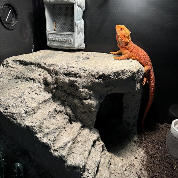 LARGE Turtle Basking Platform Dock Ramp for Over the Tank, Turtle Dock ...