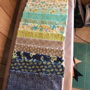 SPRING BROOK Corey Yoder Coriander Quilts Cotton Quilt Fabric | Etsy