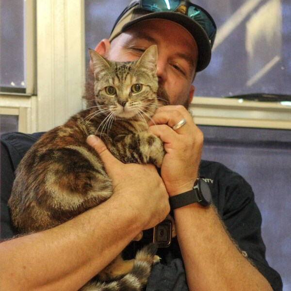 On Holiday Original Cut Paper Art for MOMA Christmas Card Collection ...