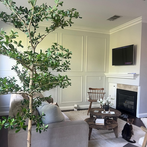 8' Shady Lady Black Olive Tree, Black Olive Tree, Shady Lady Tree, Faux ...