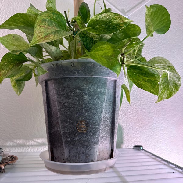 High Quality Clear Transparent Plant Pots With Good Drainage Planter ...