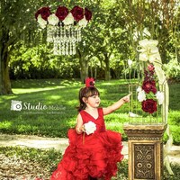 Birthday Mouse MINI Red Black Lace Crown Headband Photo Prop Customize ...