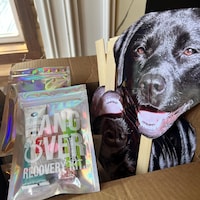 Bridal Wedding Veil Last Rodeo Bachelorette Bridal Shower Gift ...