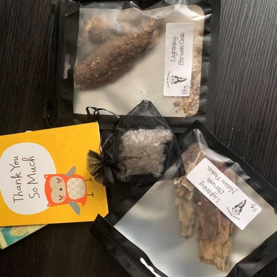 Timber Rattle Snake Vertebrae - Etsy