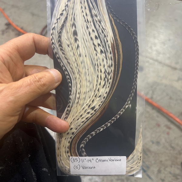 Hair Feathers, 6 Hair Feather Extensions, Pick Your Length up to 16 ...